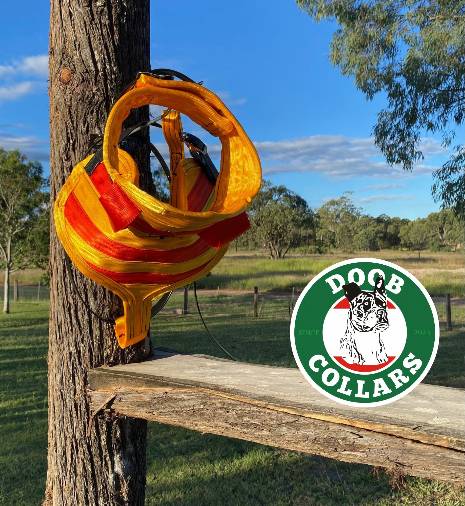 'Doob' - 3/4 plate - orange/gold – Doob Collars