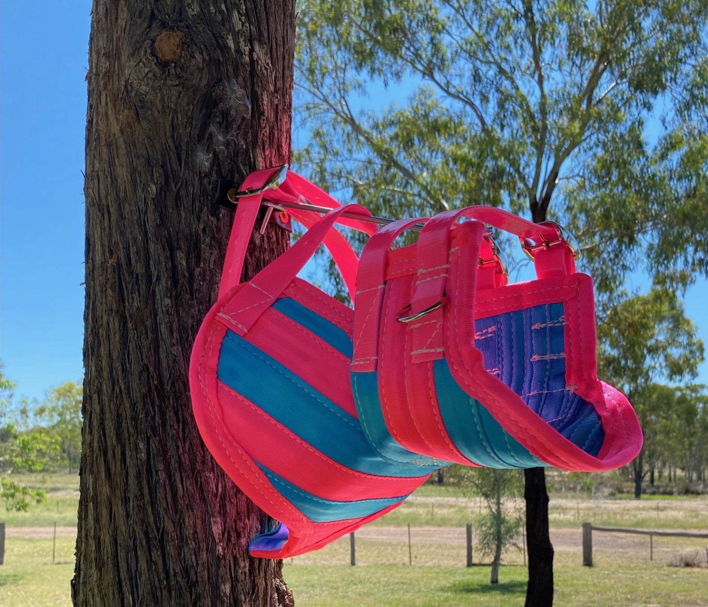 'Doob' - 3/4 plate – Doob Collars