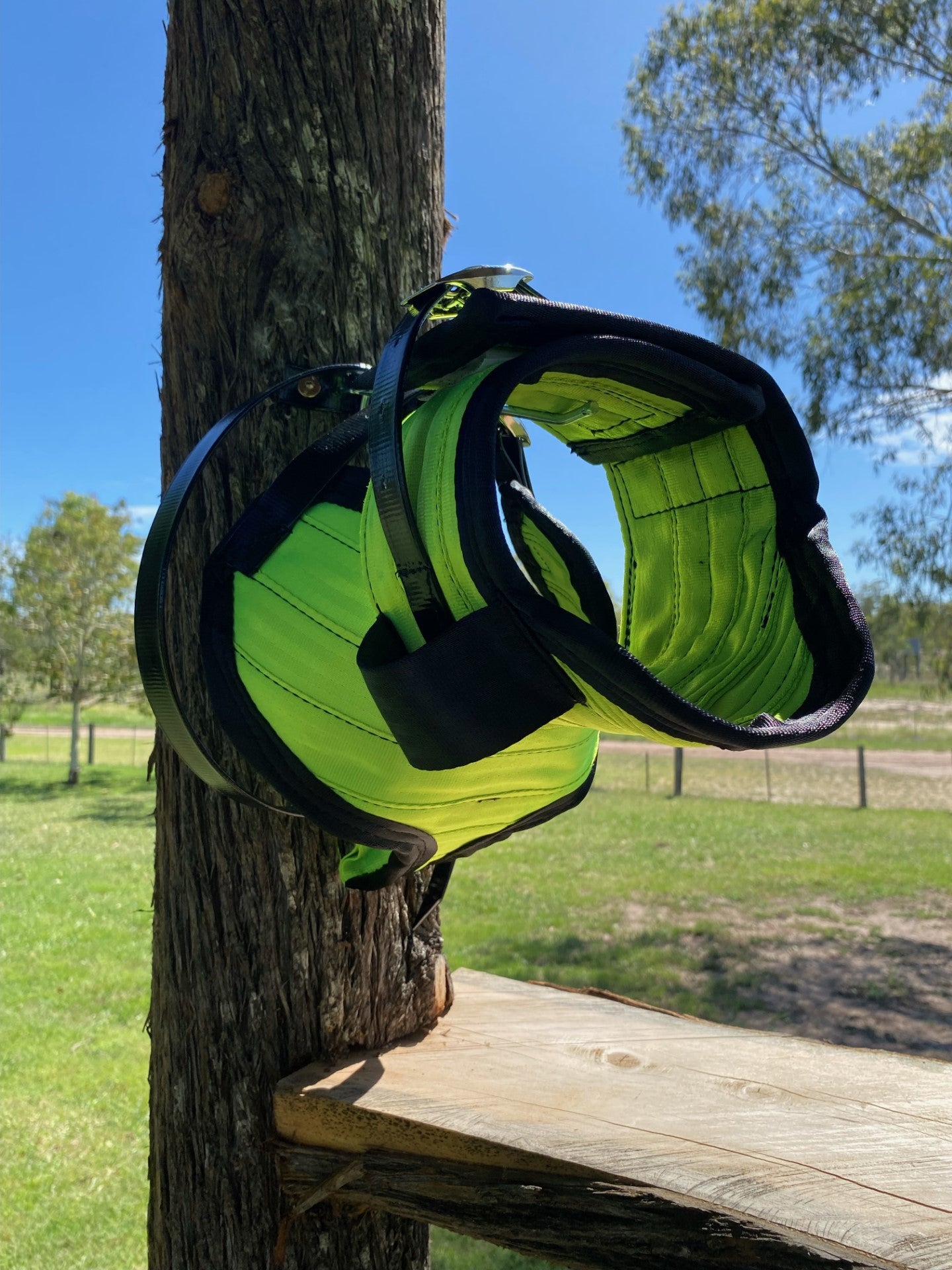 'Doob' - 3/4 plate – Doob Collars