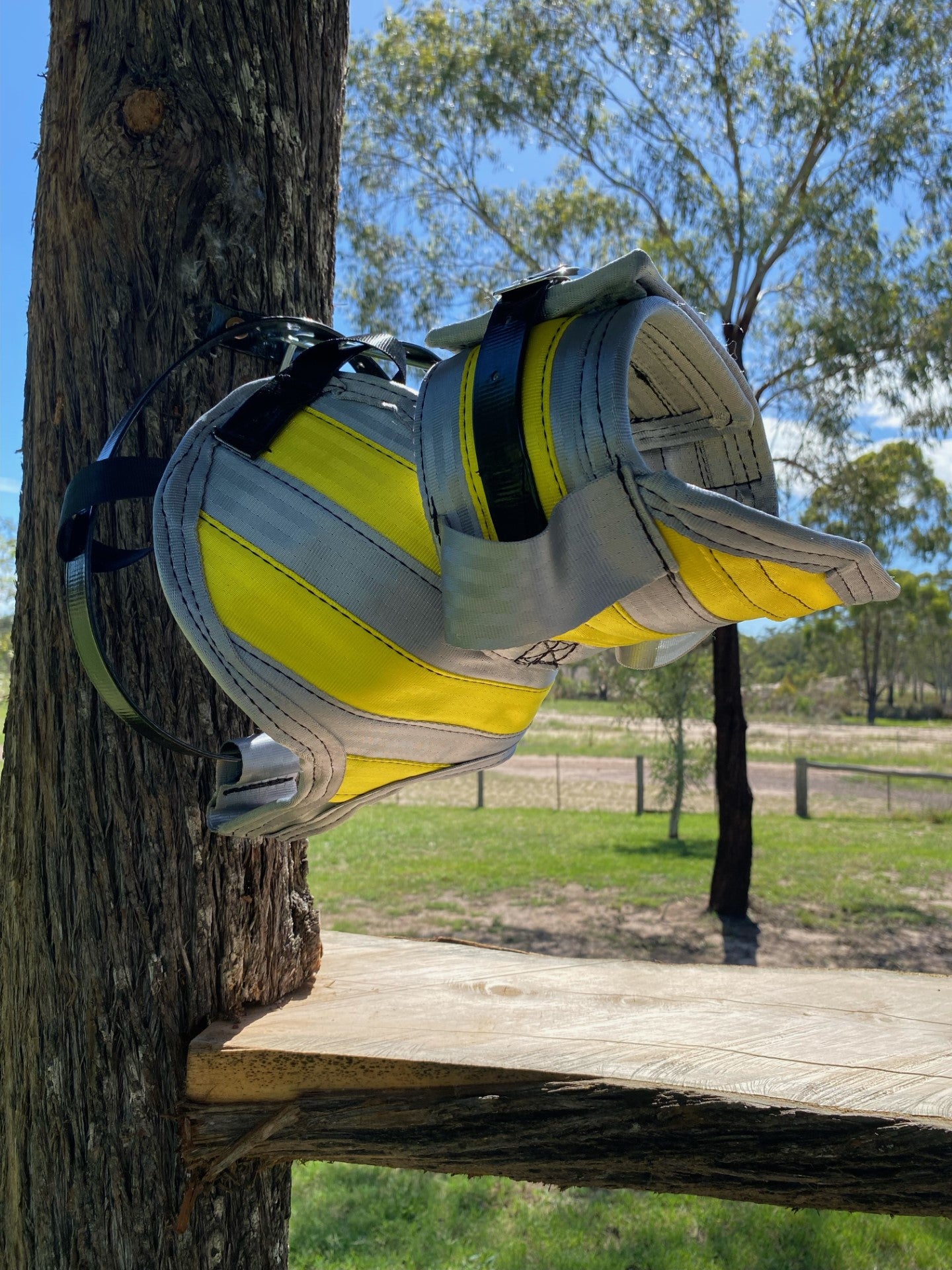 'Doob' - 3/4 plate – Doob Collars